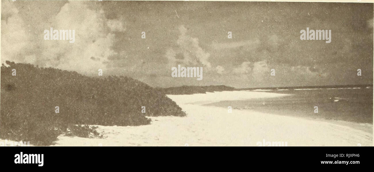 Kure atoll hi-res stock photography and images - Alamy