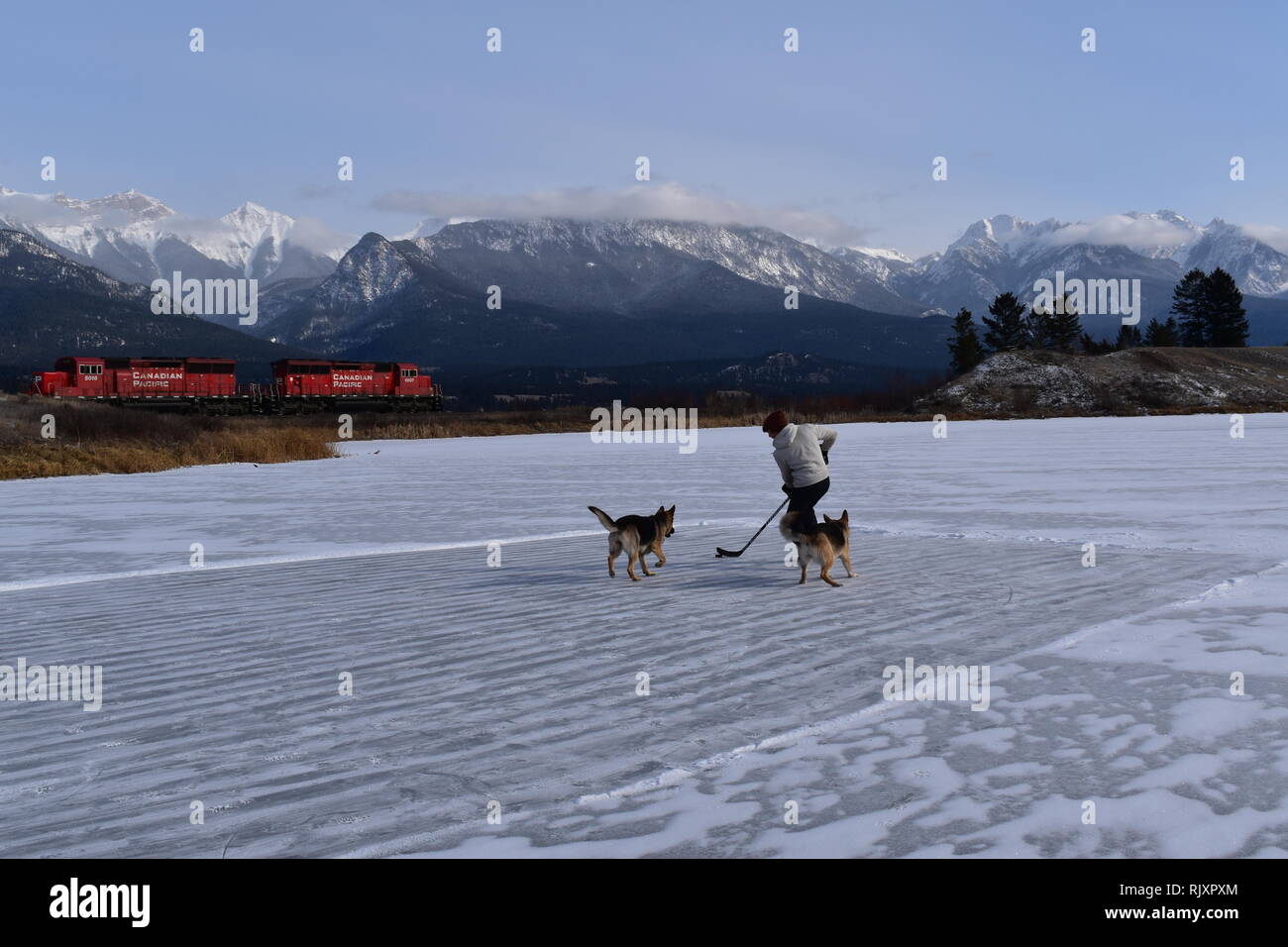 Cpr train hi-res stock photography and images - Alamy