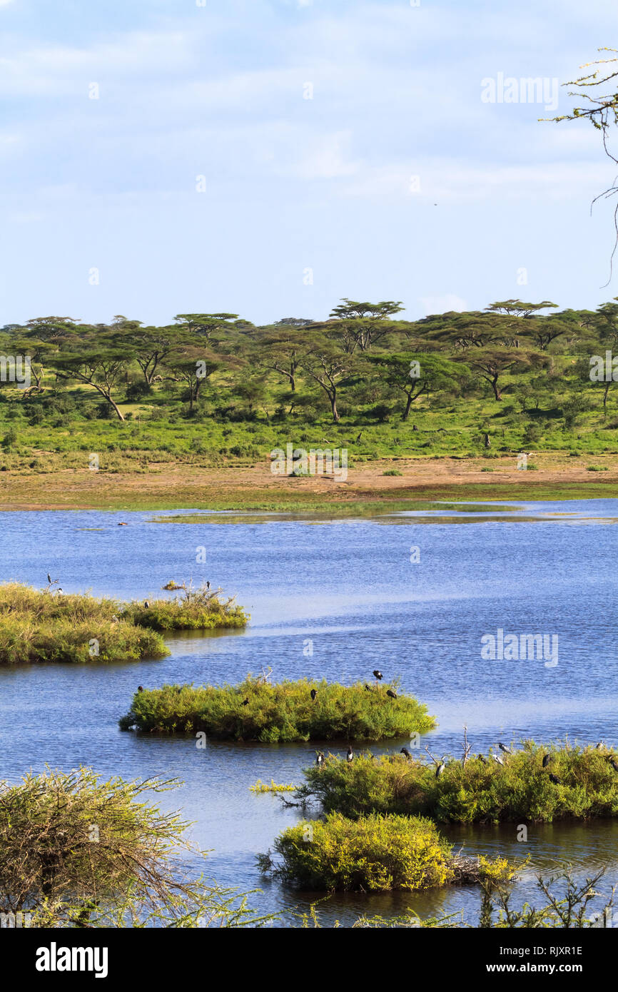 Tanzania scenery hi-res stock photography and images - Alamy