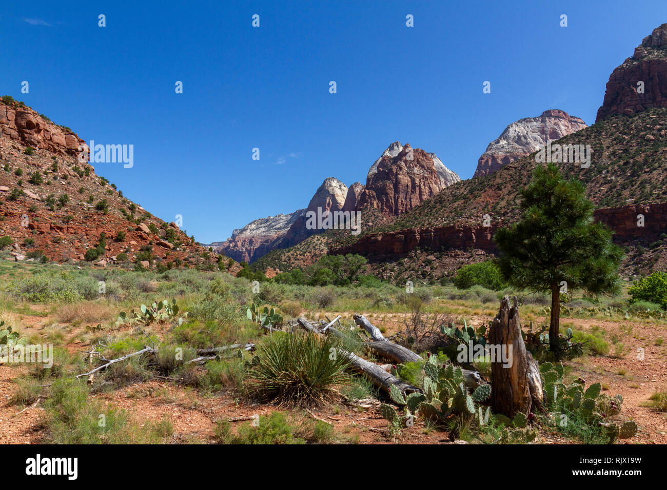 Twin brothers zion national park hi-res stock photography and images ...