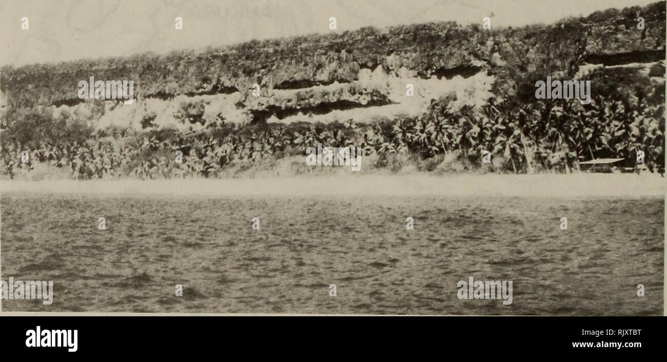 . Atoll research bulletin. Coral reefs and islands; Marine biology ...