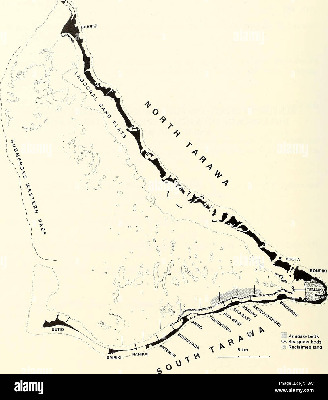 . Atoll research bulletin. Coral reefs and islands; Marine biology ...