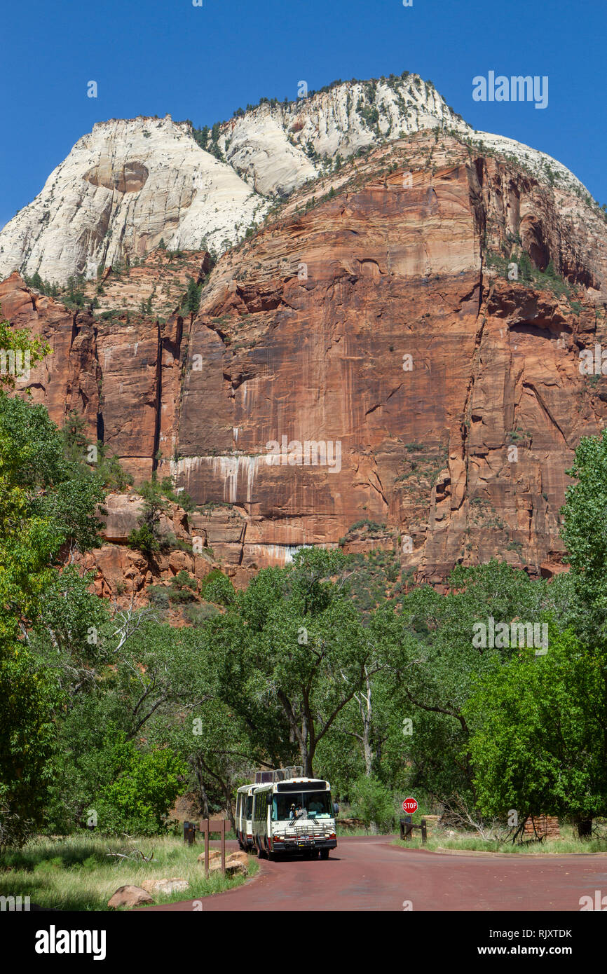 Shuttle bus arriving at Zion Lodge with Castle Dome behind, Zion ...