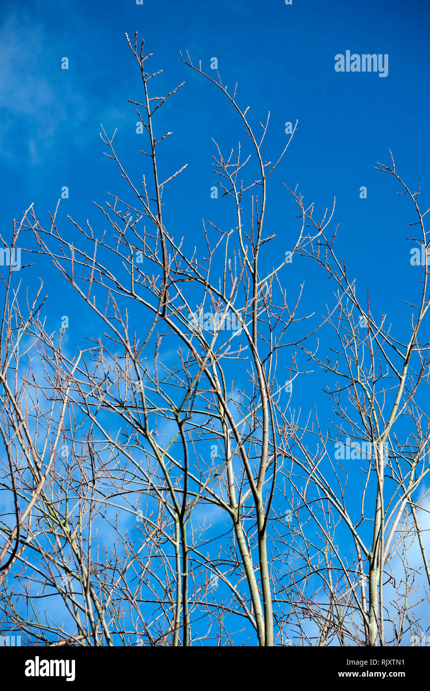 Bunclody, Wexford, Ireland, Europe Stock Photo - Alamy