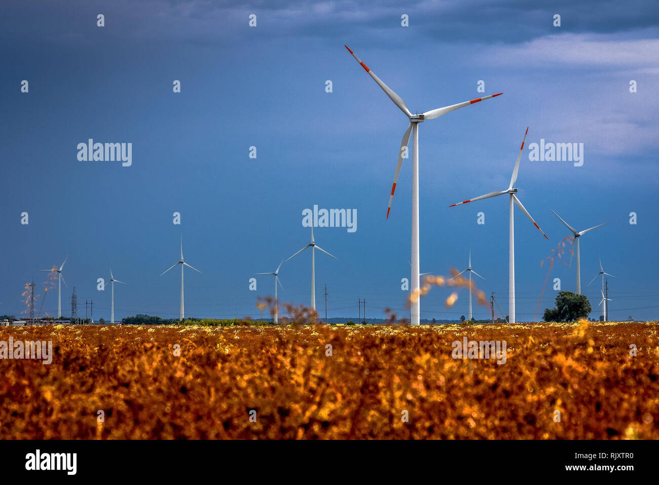 Windmills in the fields with dramatic rain clouds in the background ...