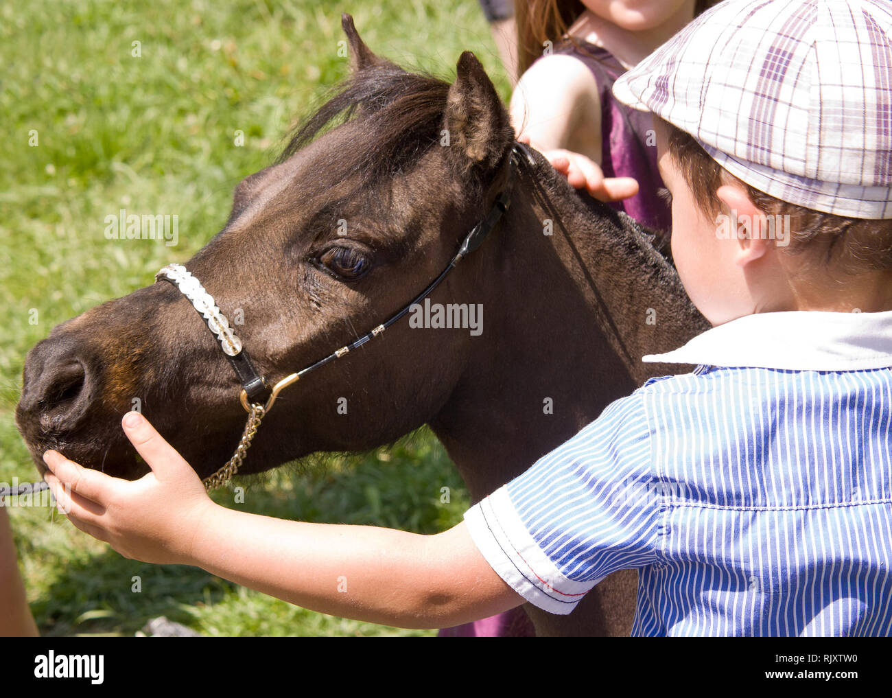 Patting child hi-res stock photography and images - Alamy