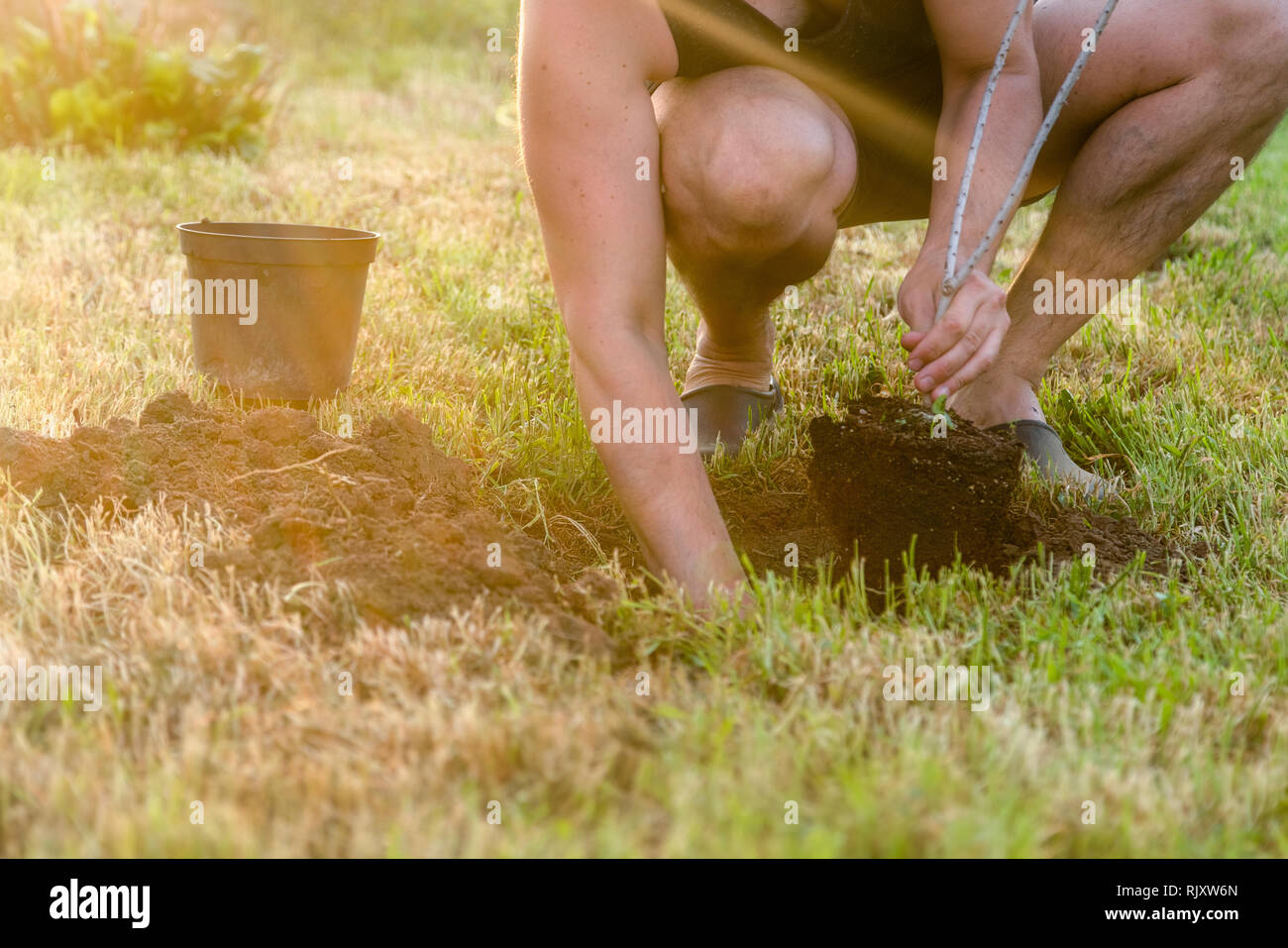 Planting a tree. Man digging a hole in the ground in summertime ...