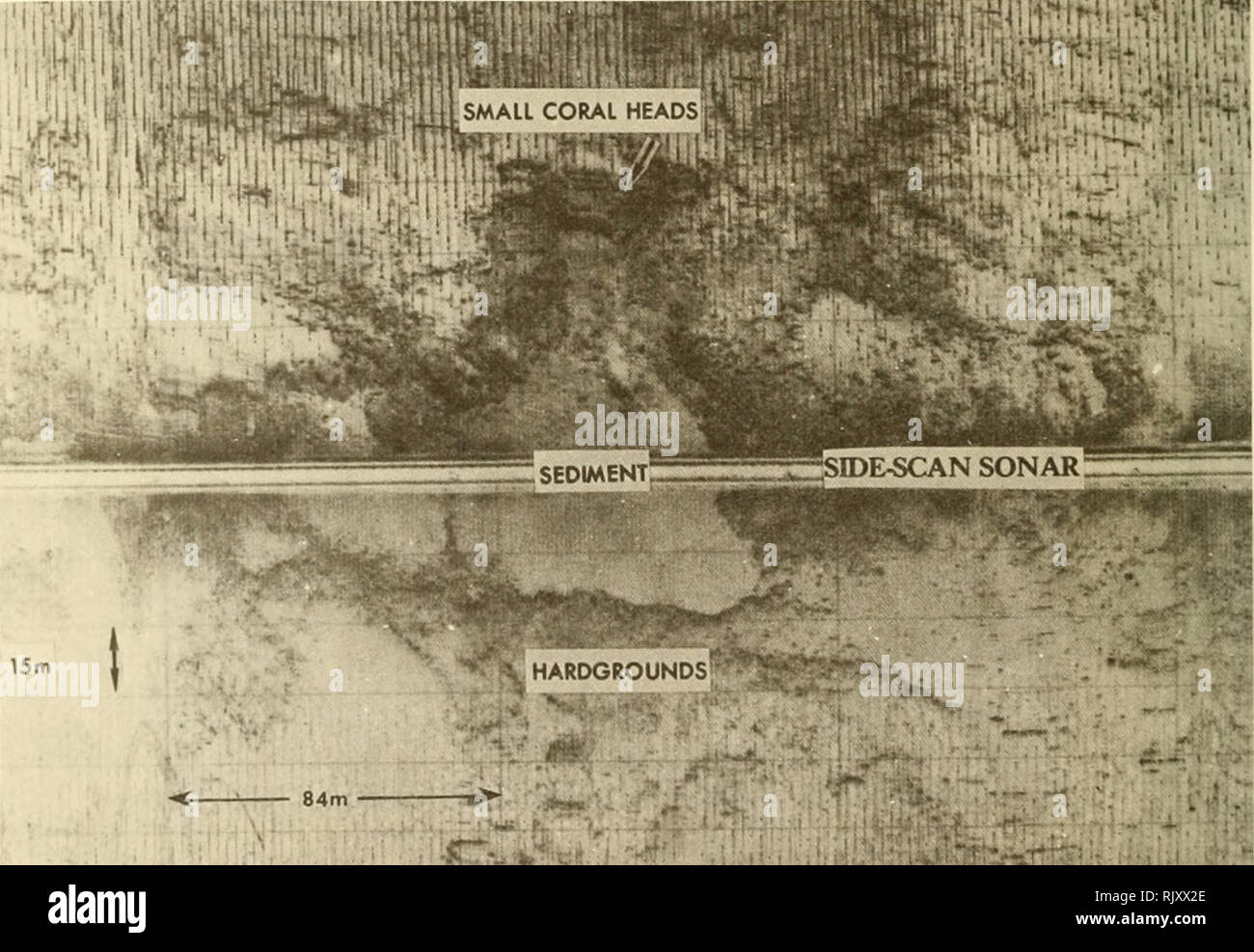. Atoll research bulletin. Coral reefs and islands; Marine biology ...