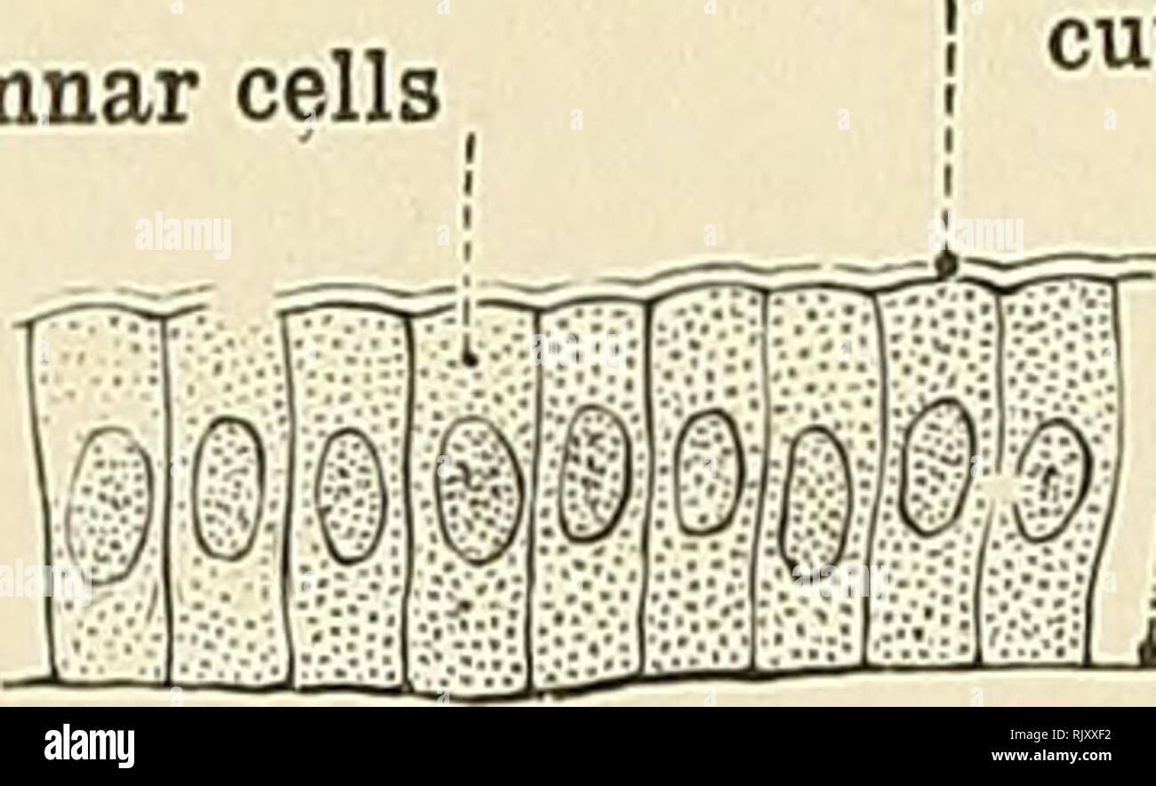 Striated pavement hi-res stock photography and images - Alamy
