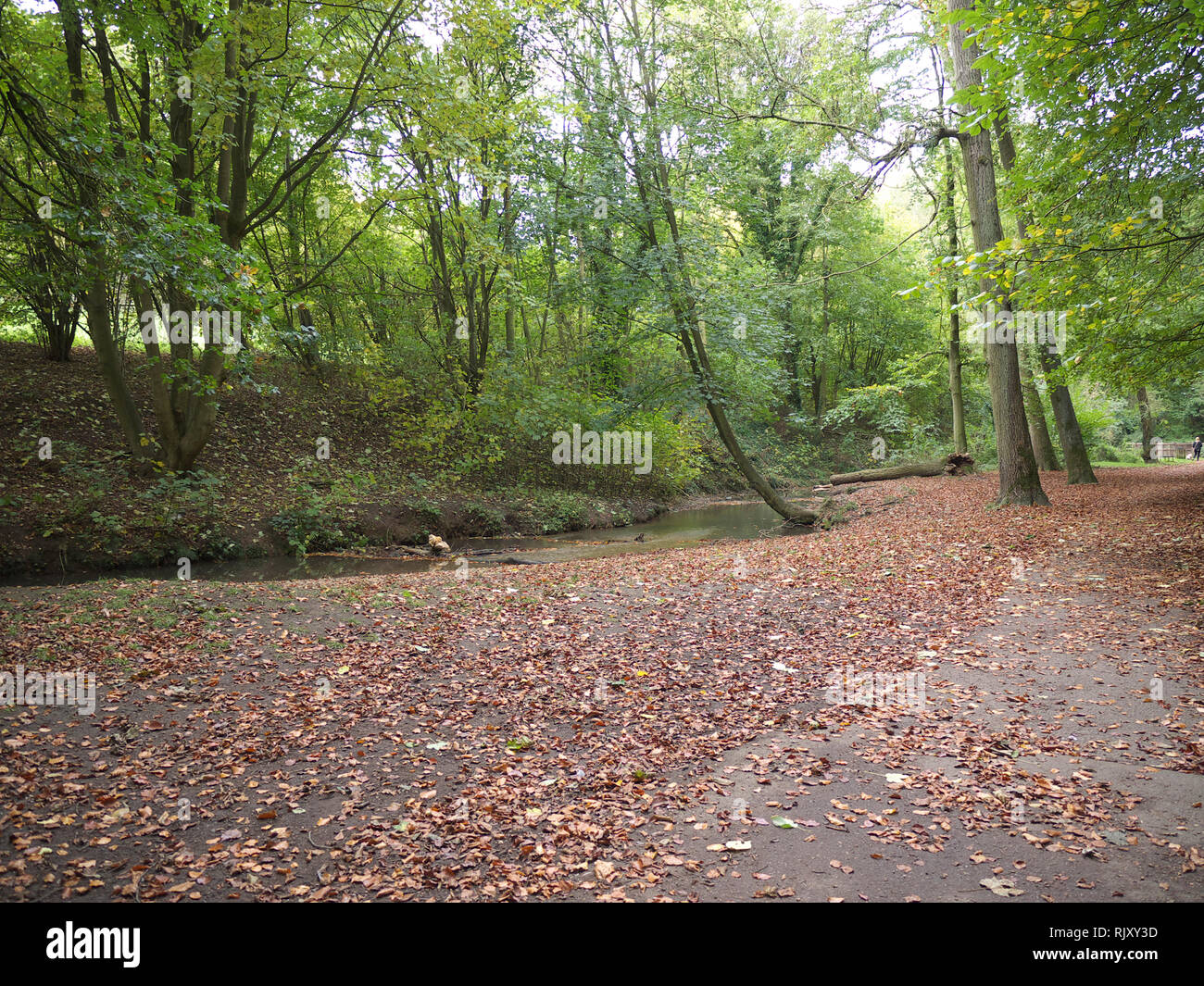 Lud river hi-res stock photography and images - Alamy