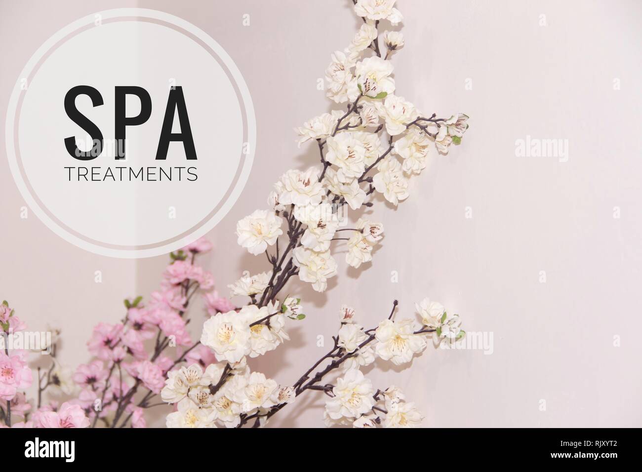 Picture with text SPA treatments. Banner advertising spa salon. Spa ...