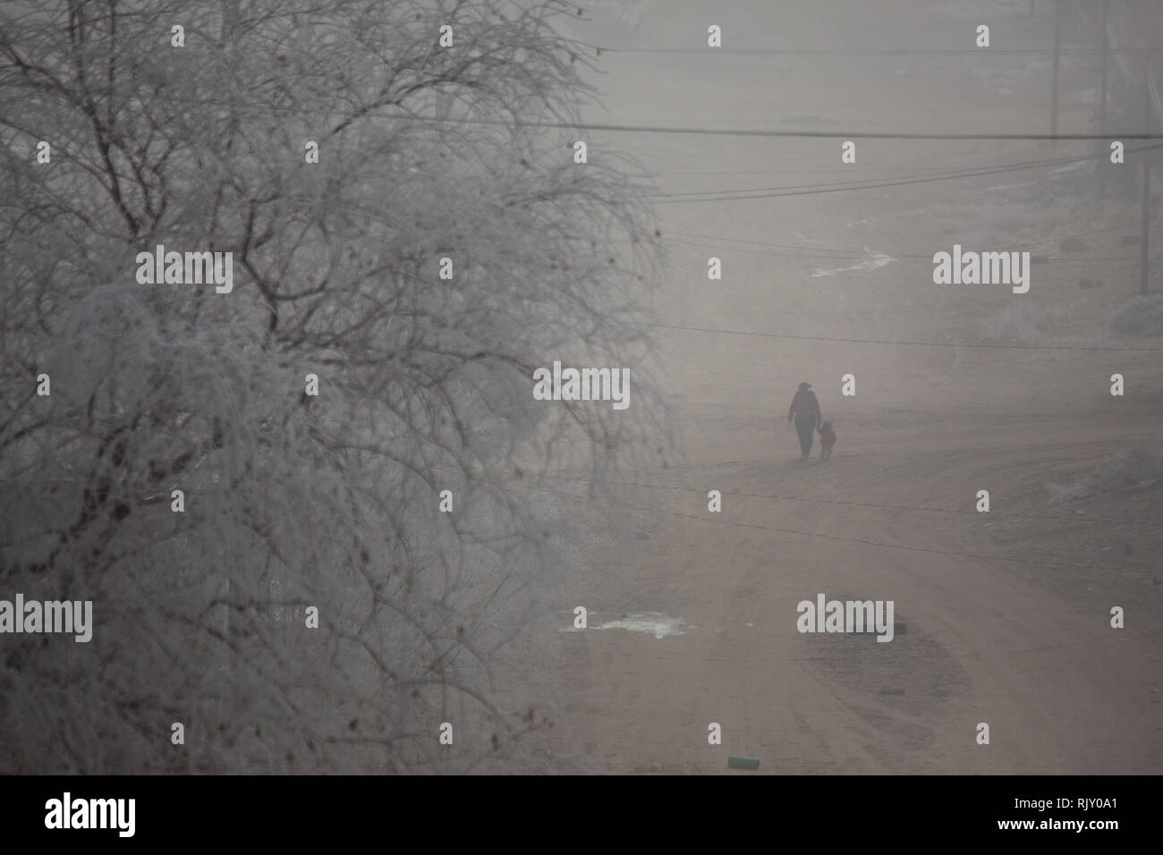 Anapra hi-res stock photography and images - Alamy