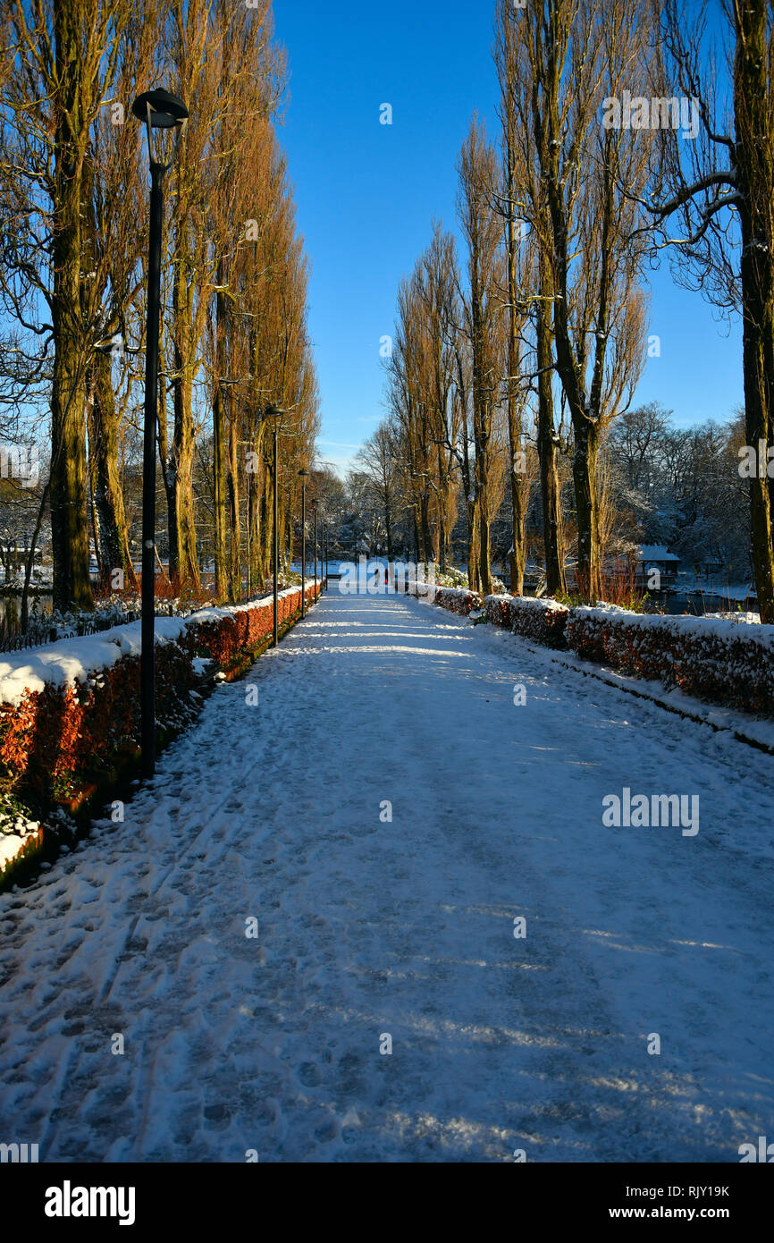 A cold winter scene set in an avenue in Wallsall, West Midlands, United ...