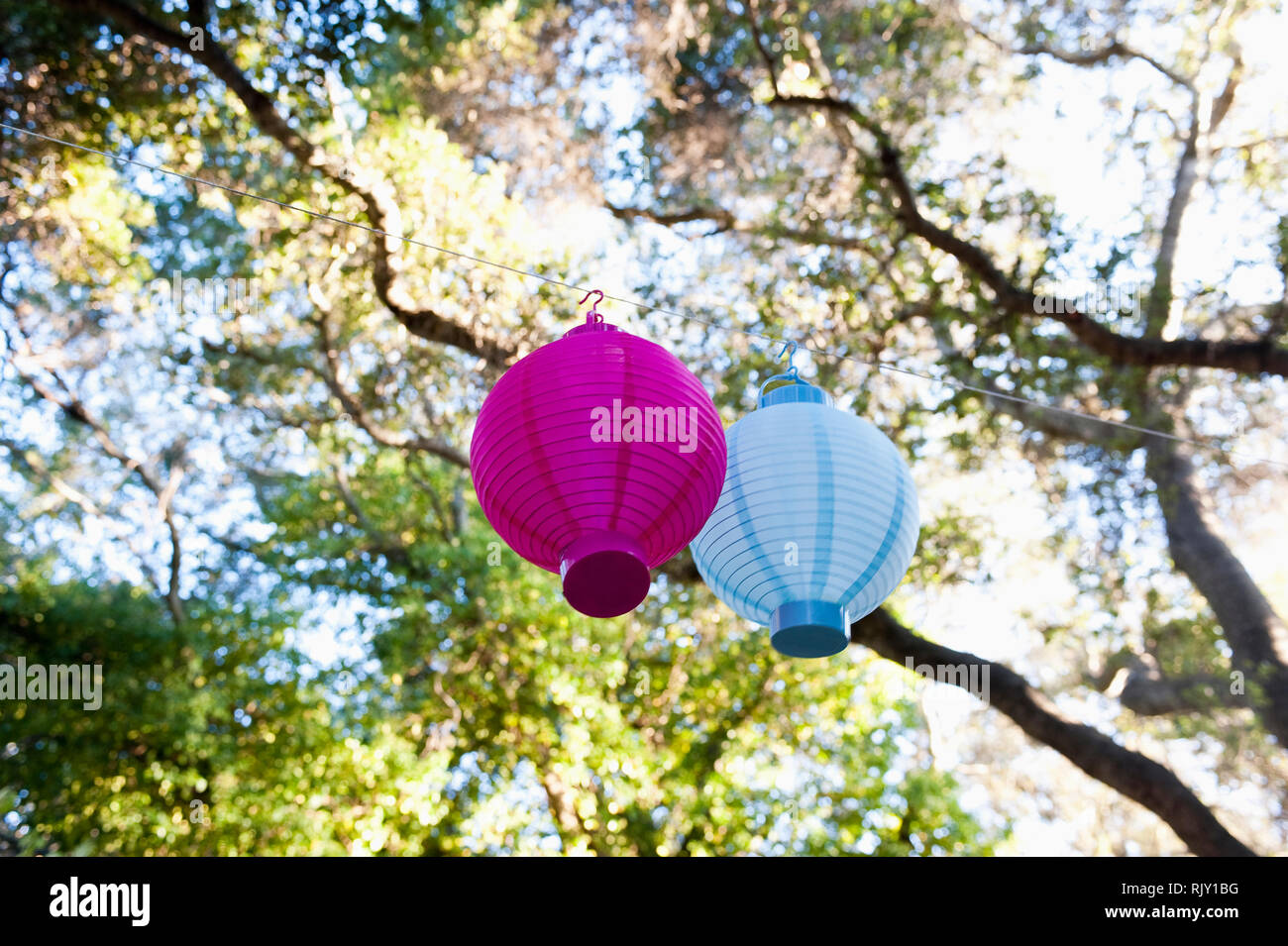 Lanterns Hanging Tree Stock Photo - Alamy