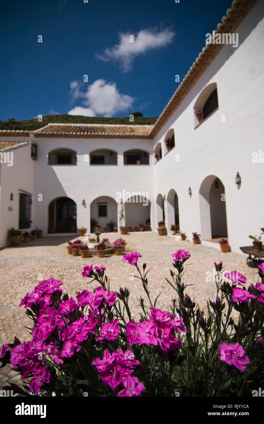 Courtyard of Hotel Stock Photo - Alamy