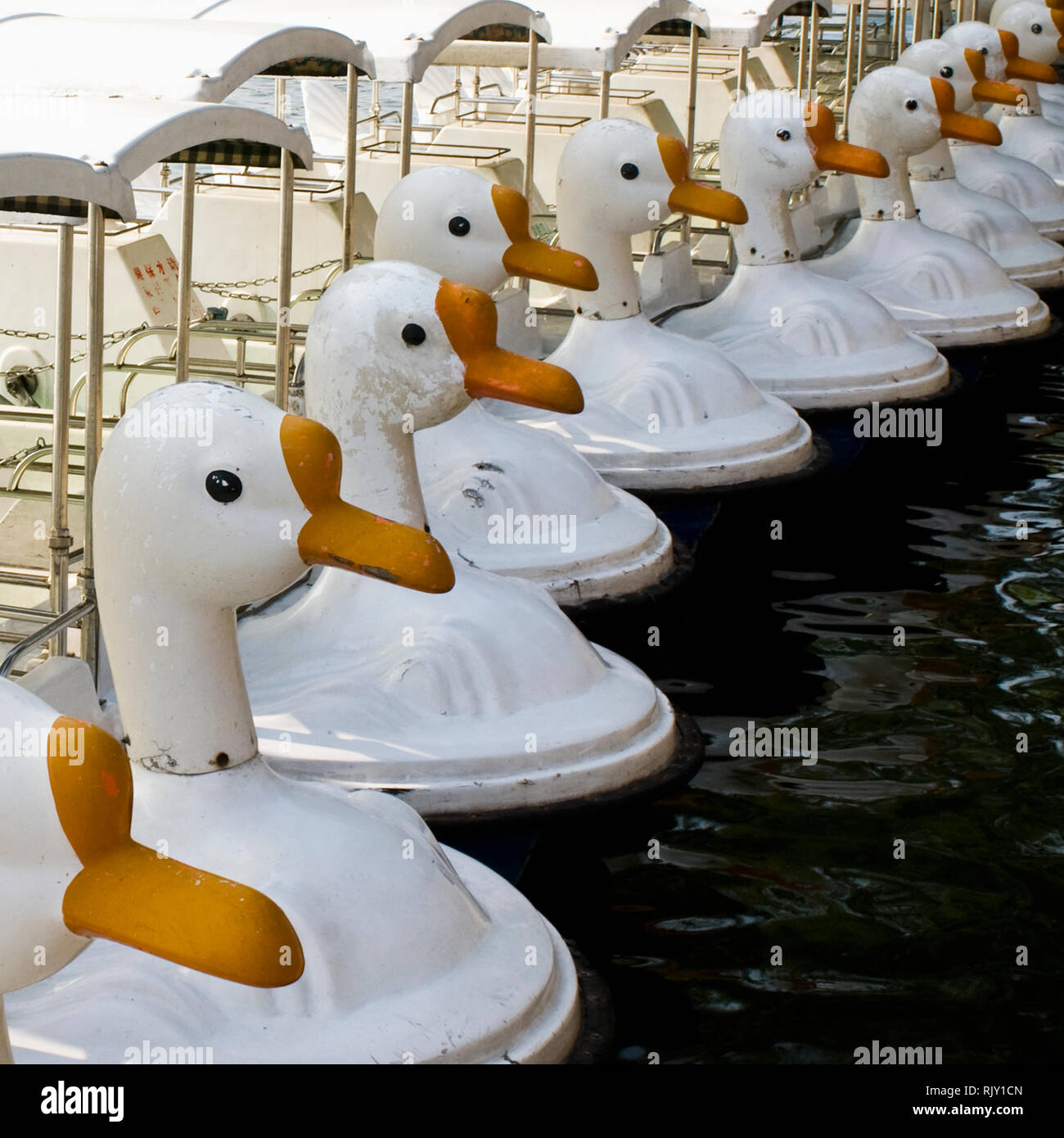 Rows of paddle boats hi-res stock photography and images - Alamy