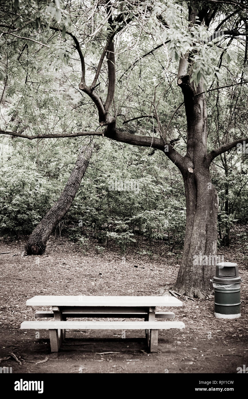 Empty Picnic Area Stock Photo - Alamy