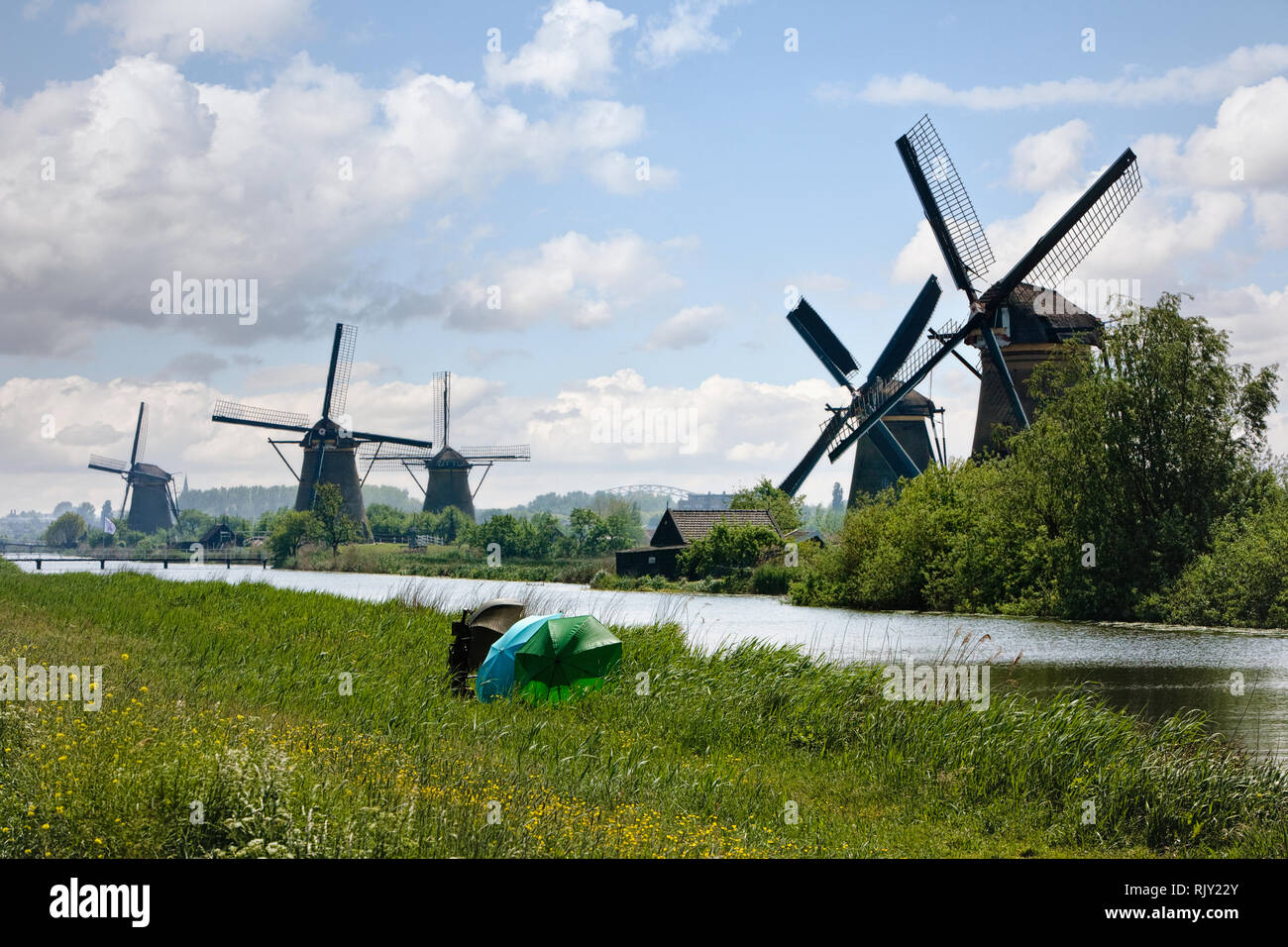 Windmills in Dutch Countryside Stock Photo - Alamy