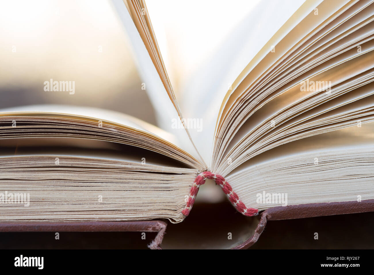 Education and wisdom concept - open book under sunlight outdoors Stock ...