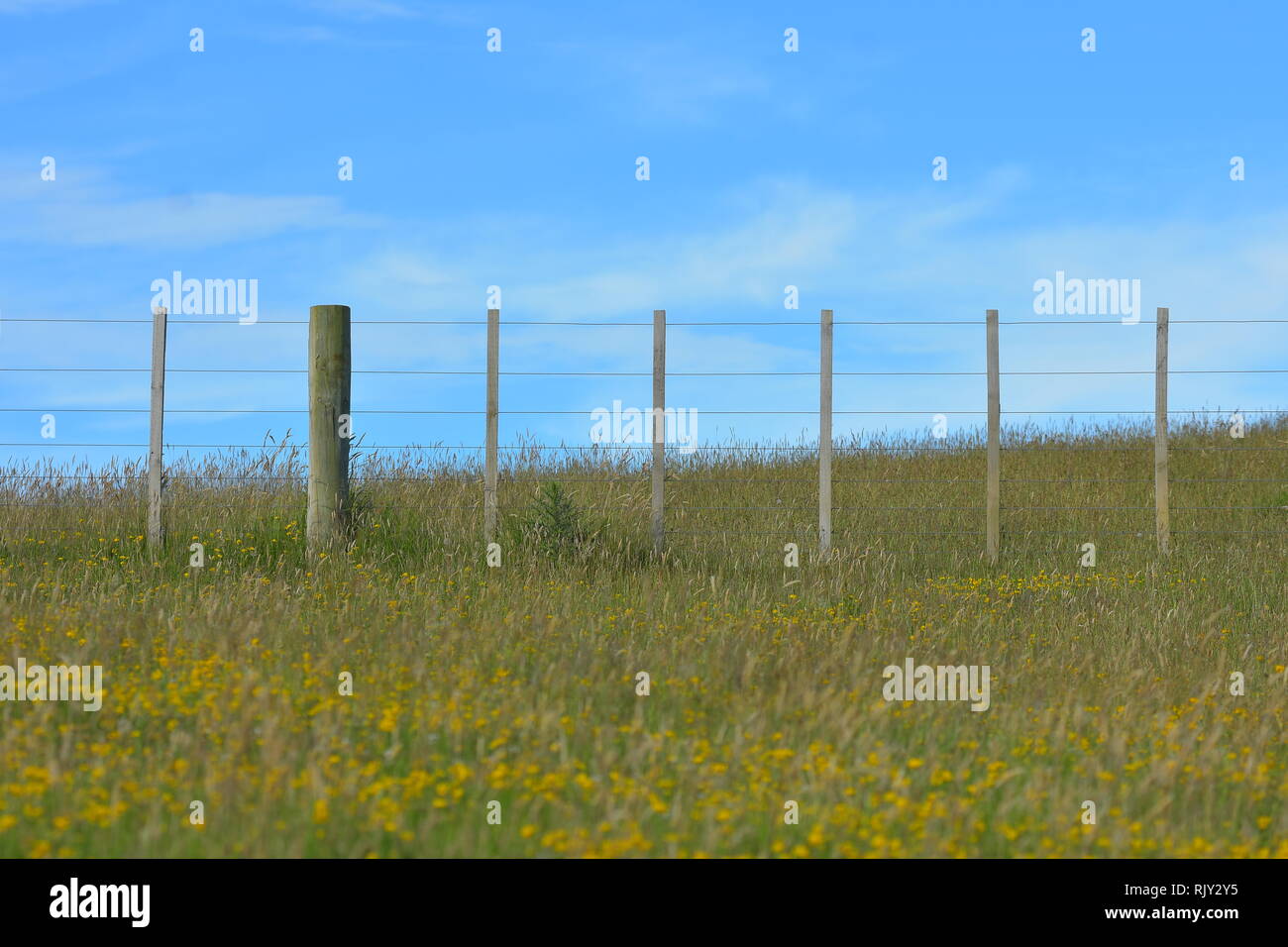 Paddock wire fence supported by wooden poles and slats on pasture ...