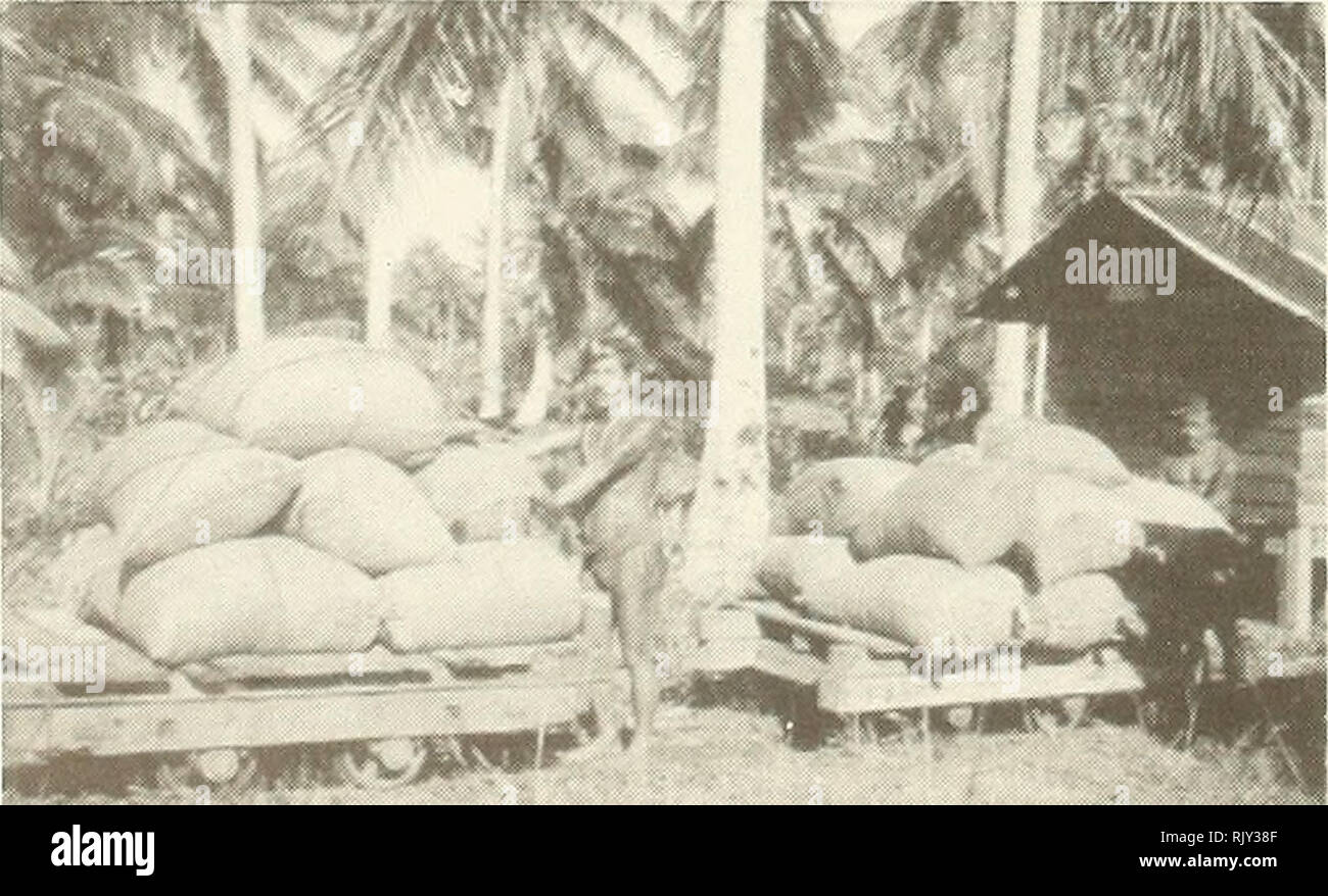 . Atoll research bulletin. Coral reefs and islands; Marine biology ...