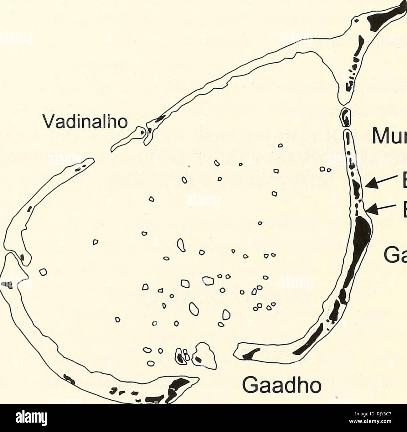 Mundoo hi-res stock photography and images - Alamy