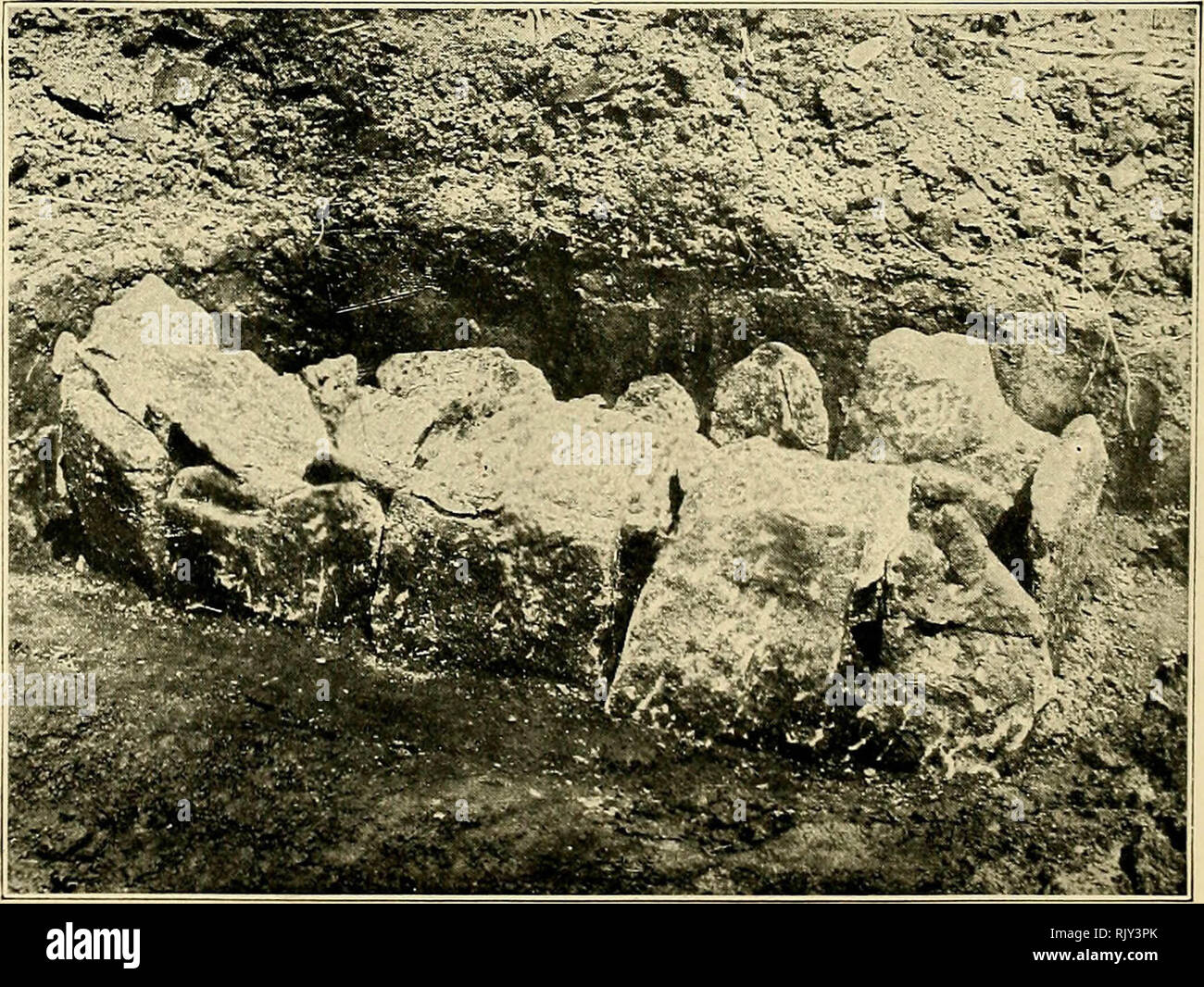 "Native cemeteries and forms of burial east of the Mississippi" (1920 ...