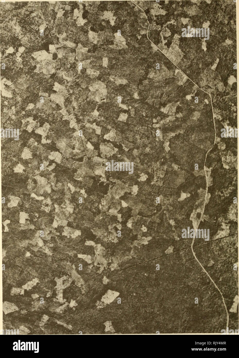 . Atoll research bulletin. Coral reefs and islands; Marine biology ...