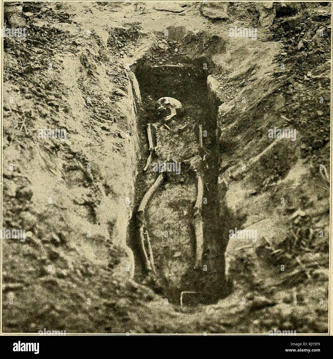 "Native cemeteries and forms of burial east of the Mississippi" (1920 ...