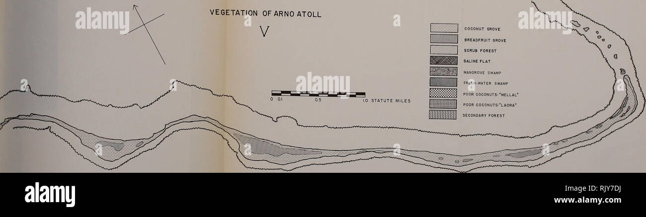 Arno atoll hi-res stock photography and images - Alamy