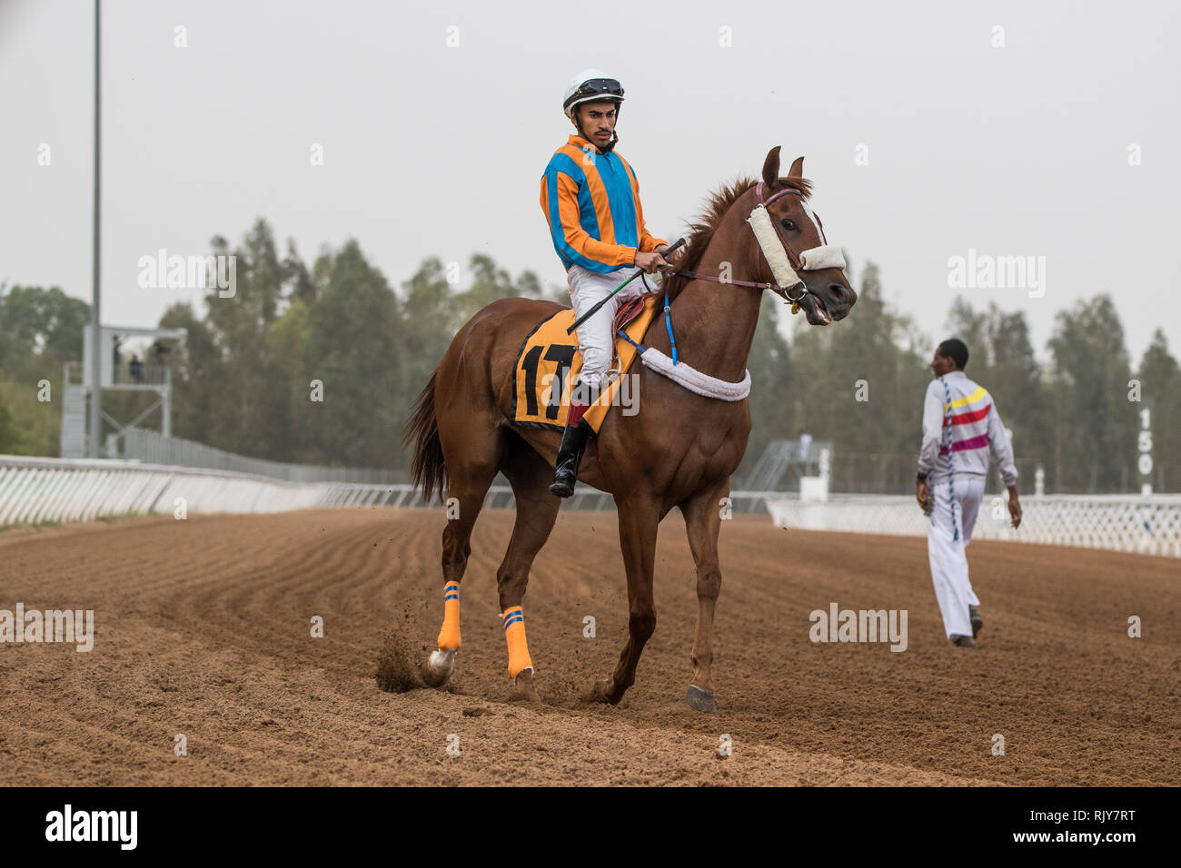 Horse racing at King Khalid Racetrack, Taif, Saudi Arabia 22/06/2018 ...