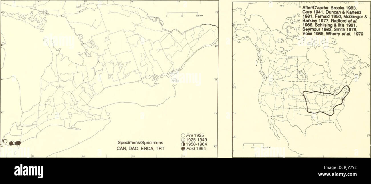Sol rocailleux hi-res stock photography and images - Alamy