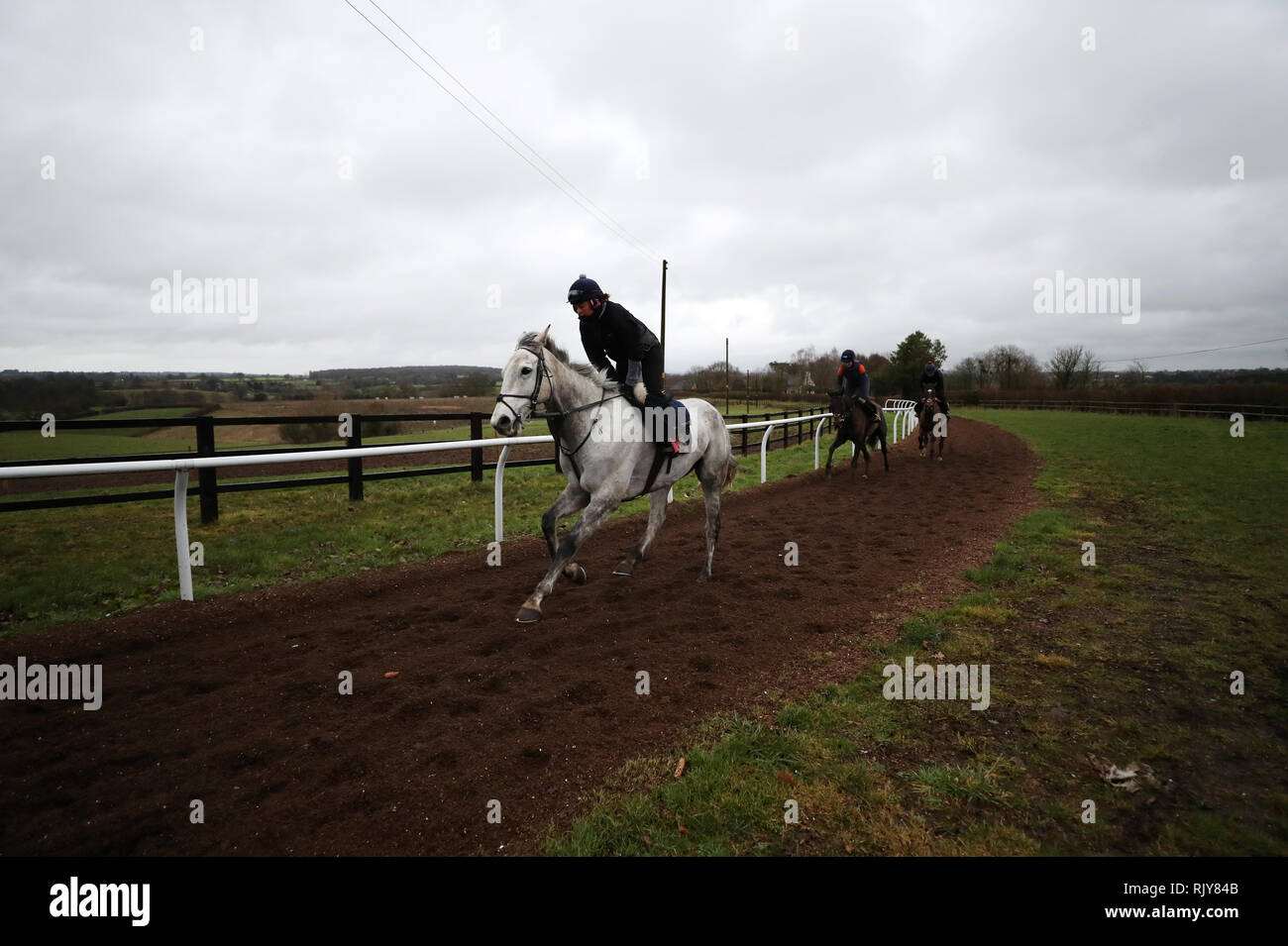 Horses stable hi-res stock photography and images - Alamy