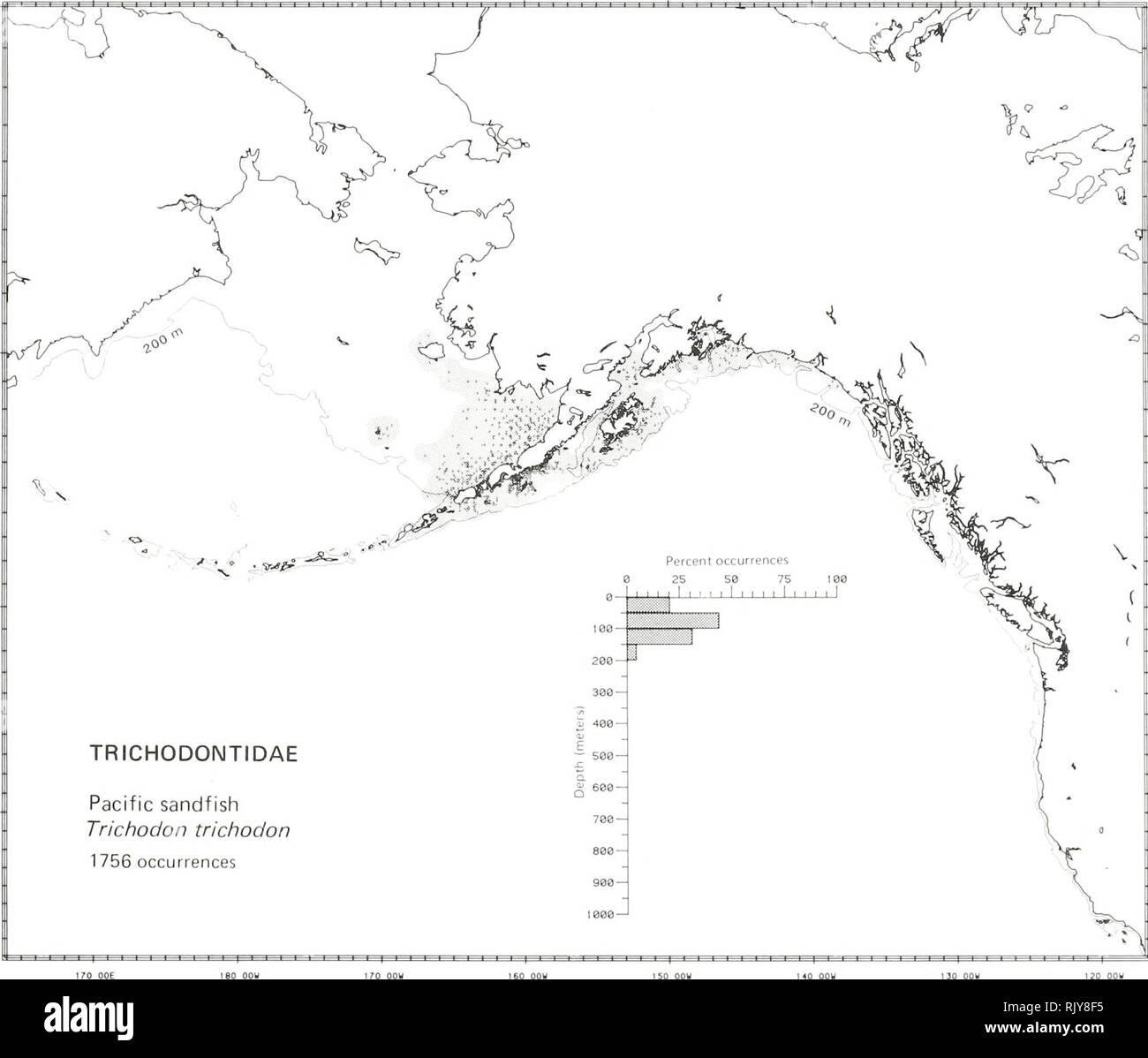 Common sandfish hi-res stock photography and images - Alamy