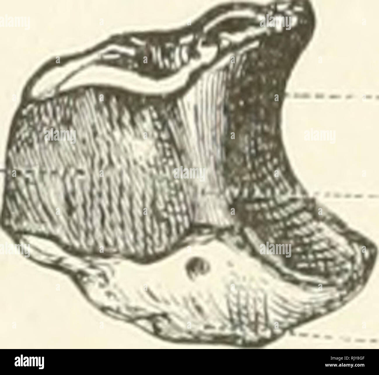 Lunar aspect hi-res stock photography and images - Alamy