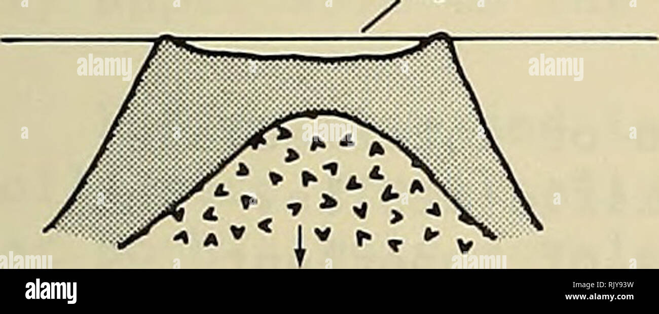 Arno atoll hi-res stock photography and images - Alamy