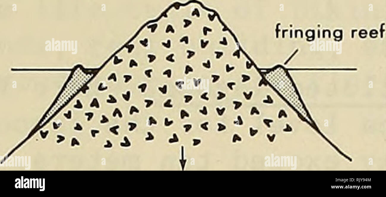 Fringing reef hawaii hi-res stock photography and images - Alamy