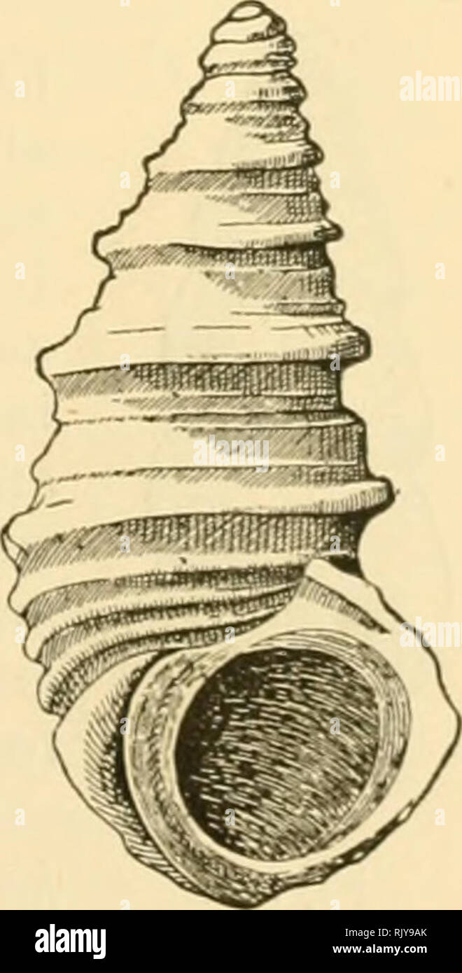 Oodes hi-res stock photography and images - Alamy