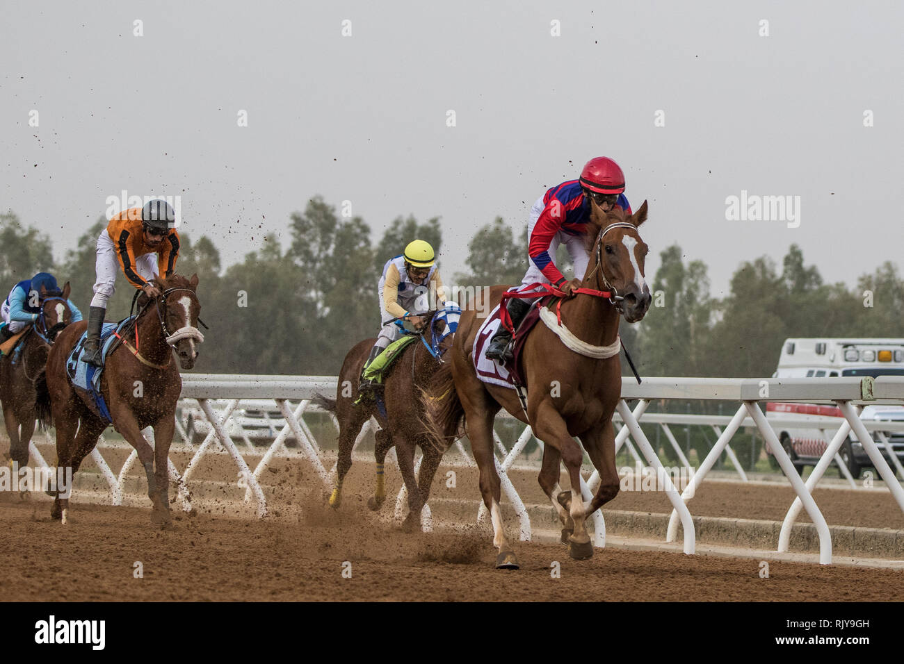 Horse racing at King Khalid Racetrack, Taif, Saudi Arabia 22/06/2018 ...