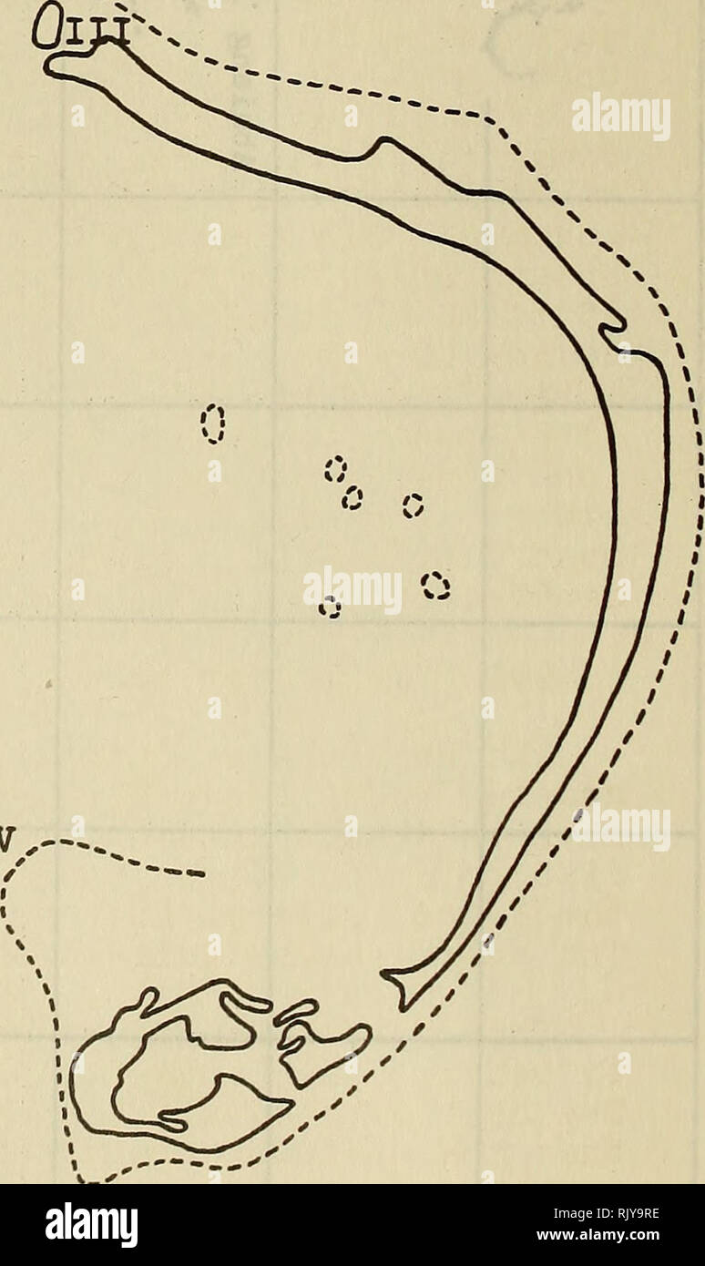 Onotoa hi-res stock photography and images - Alamy