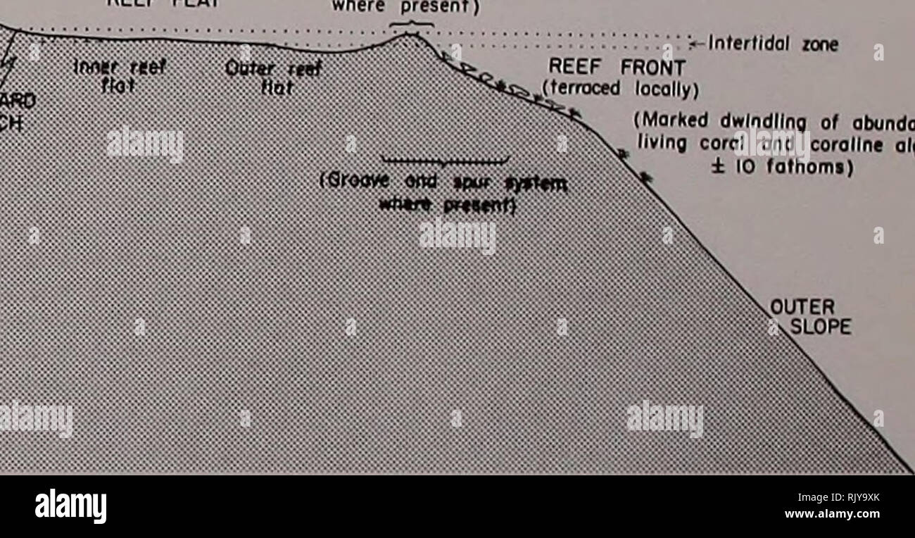 . Atoll research bulletin. Coral reefs and islands; Marine biology ...