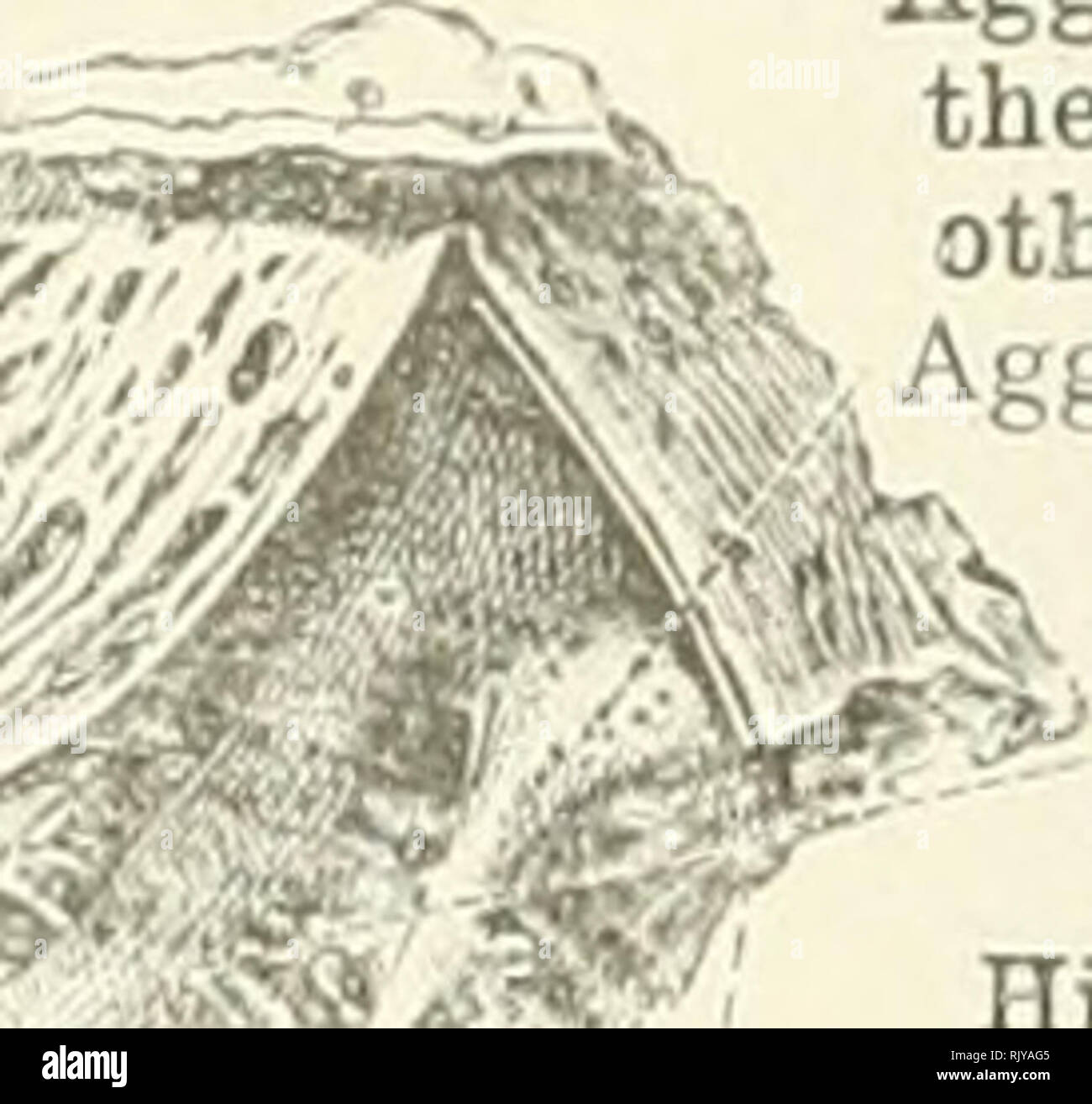 . An atlas of human anatomy for students and physicians. Anatomy ...