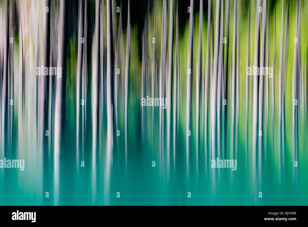 Abstract background of empty trees blurred vertically Stock Photo - Alamy