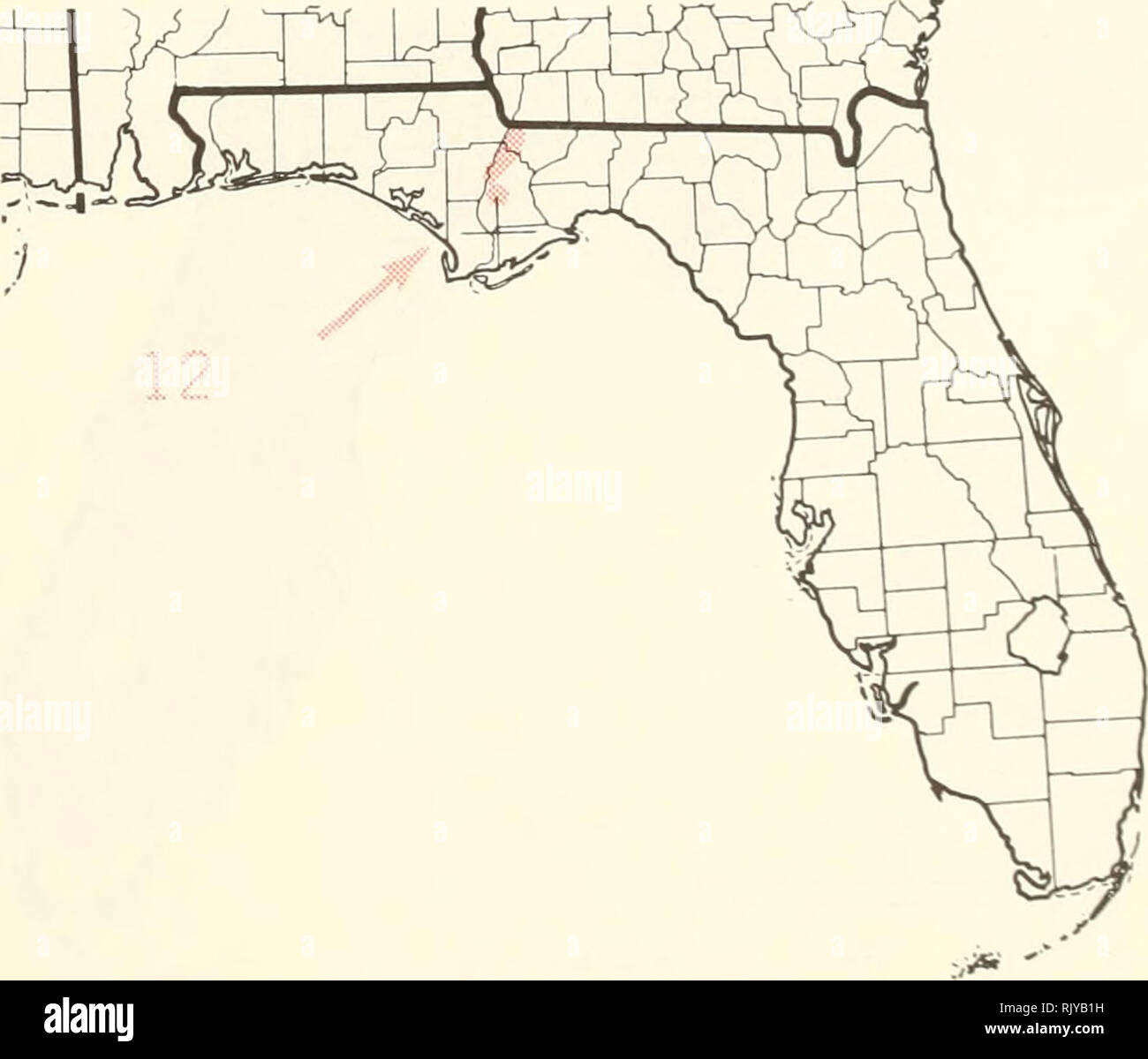 100 yew trees hi-res stock photography and images - Alamy