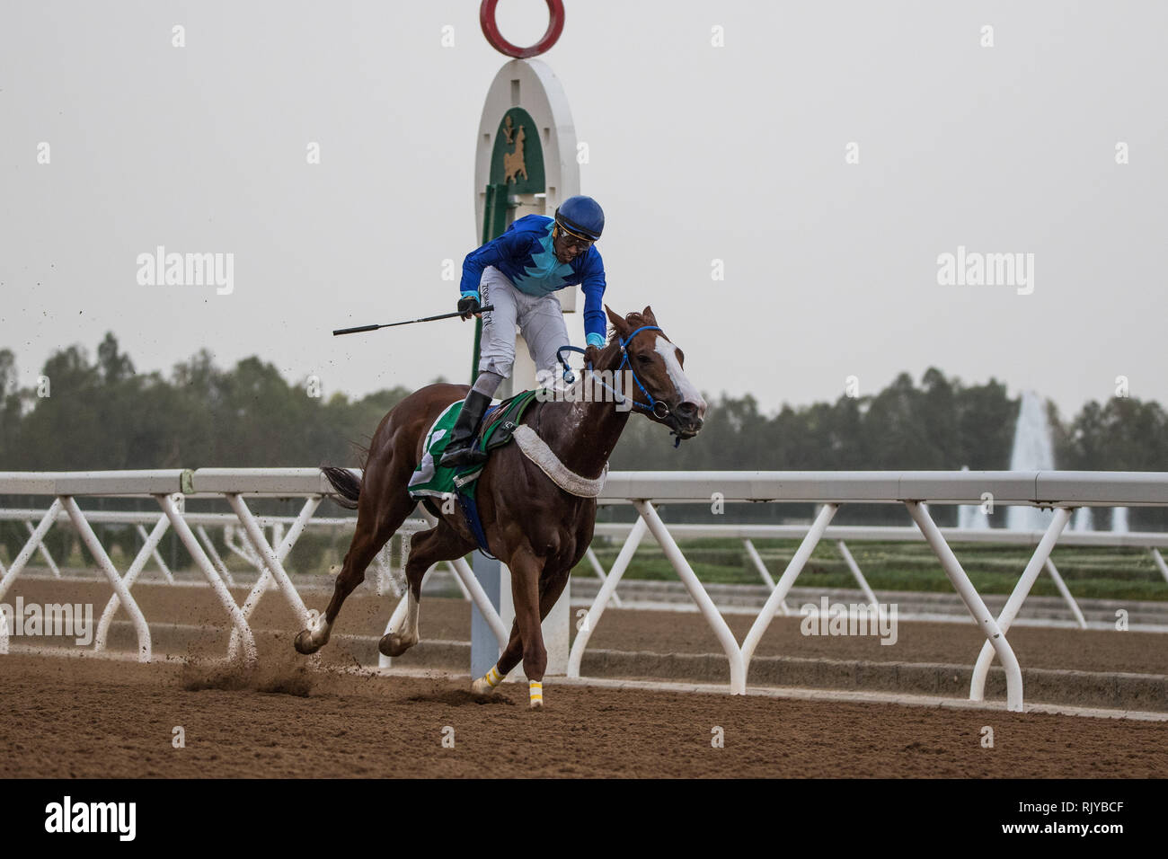 Horse racing at King Khalid Racetrack, Taif, Saudi Arabia 22/06/2018 ...