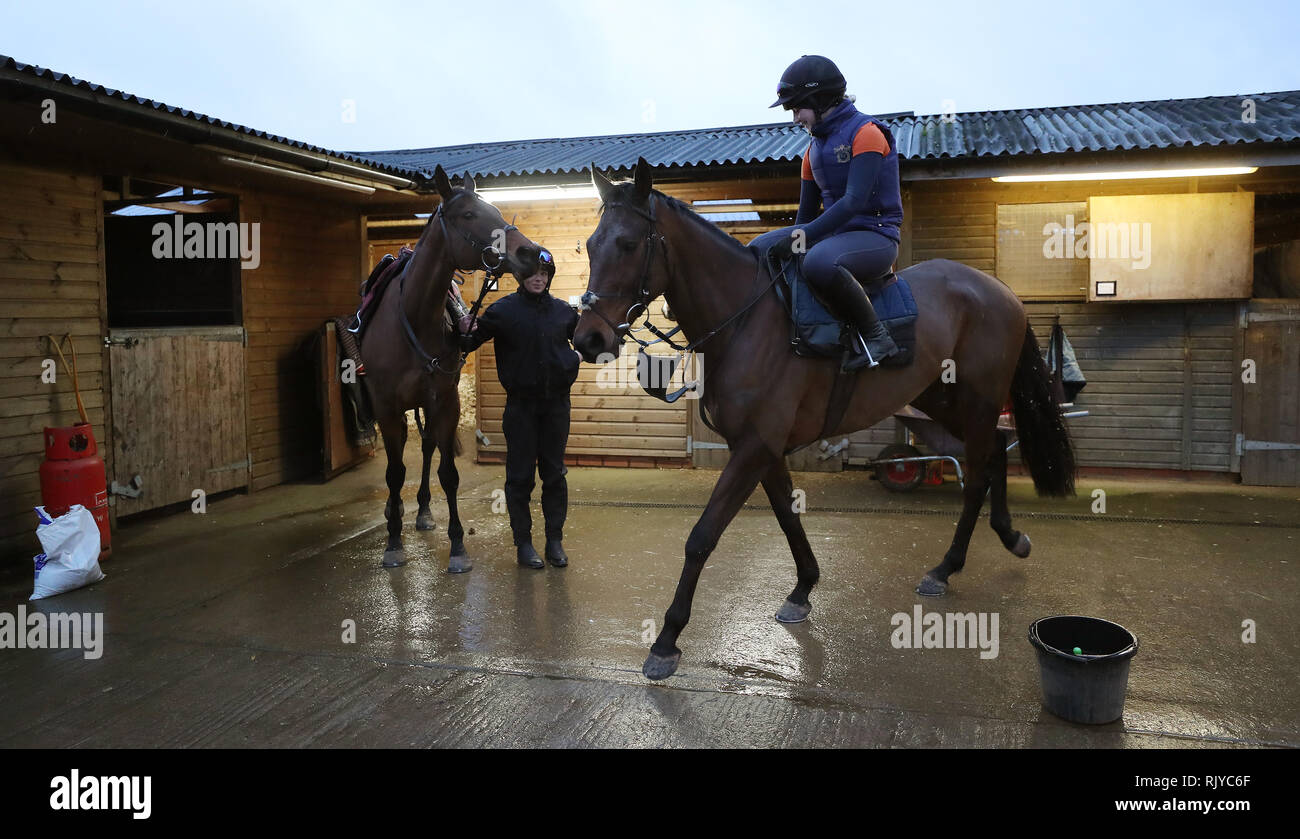 Stable hands hi-res stock photography and images - Alamy