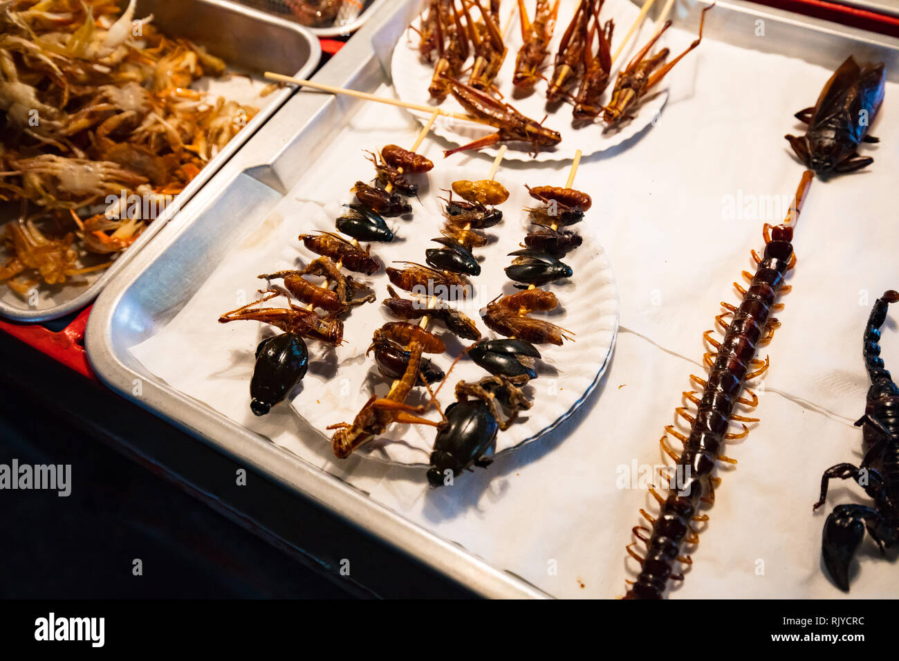 Cockroach food asia hi-res stock photography and images - Alamy