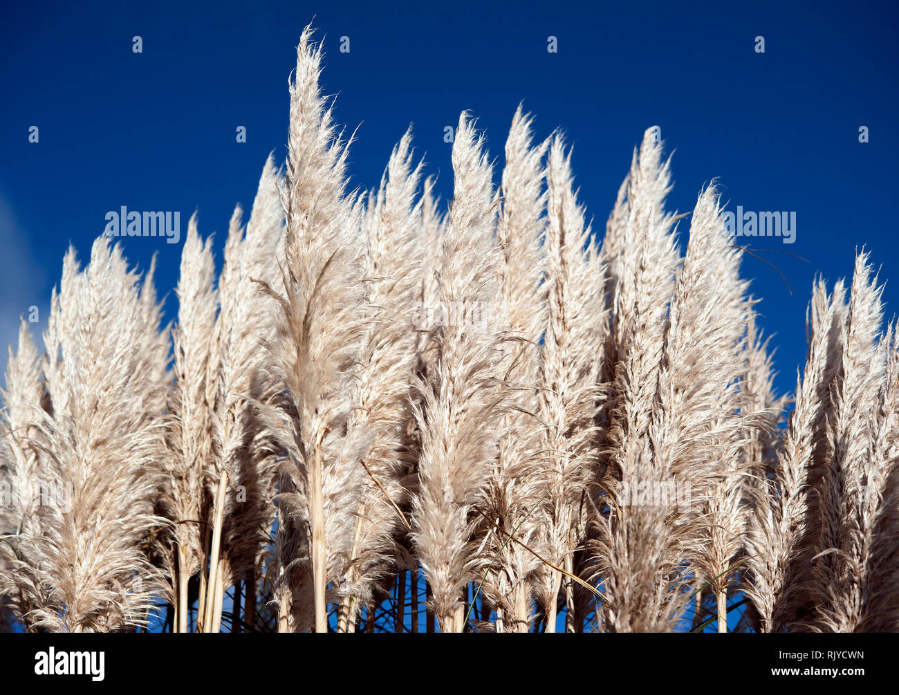 Bunclody Ireland High Resolution Stock Photography and Images - Alamy