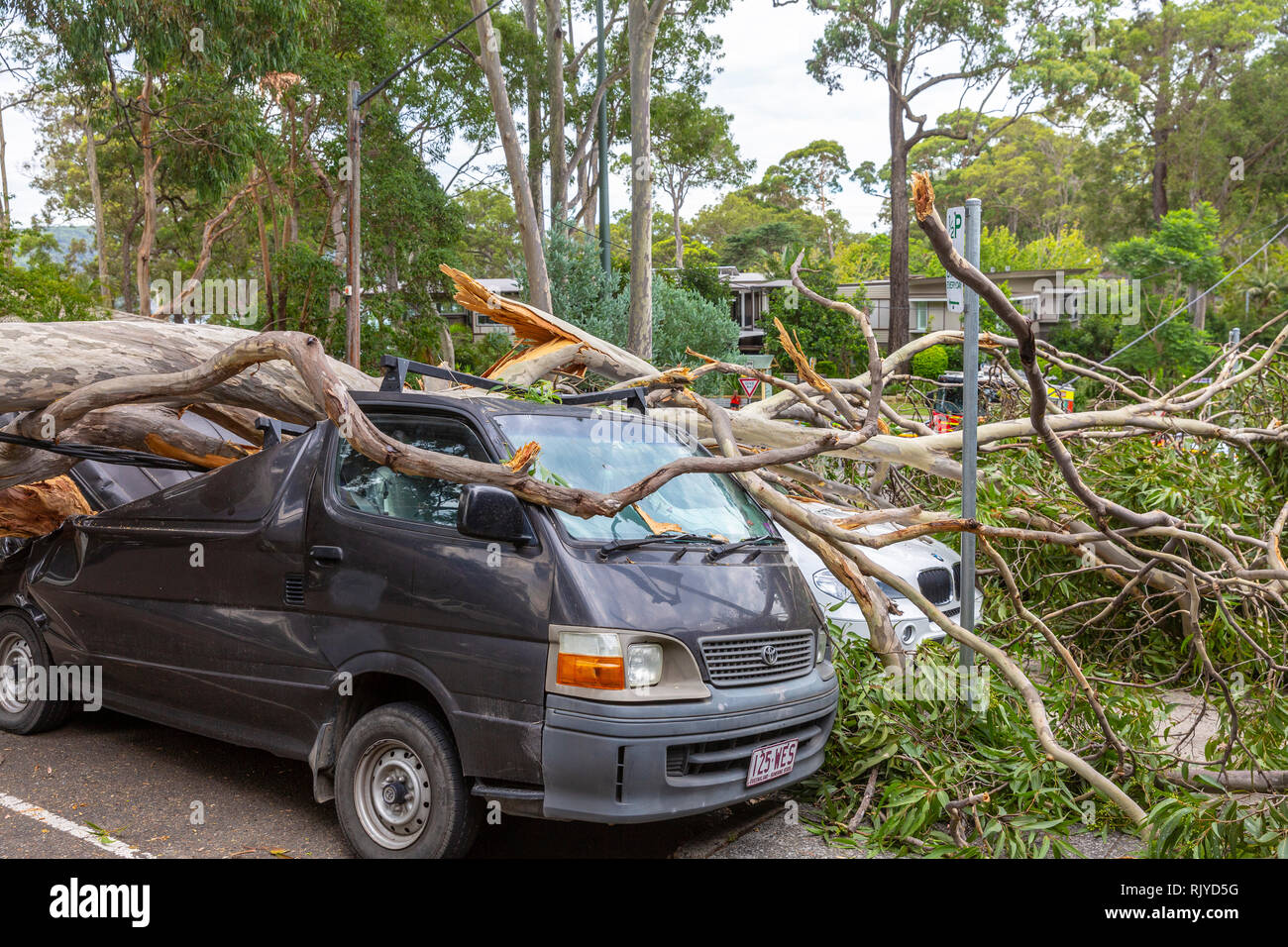 Large tree crushed hi-res stock photography and images - Alamy