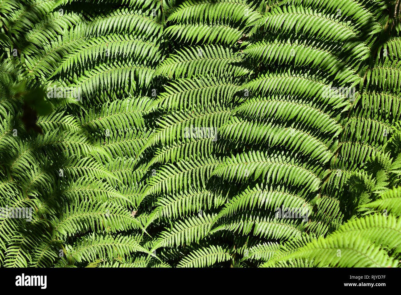 Paignton Zoo, Paignton, Devon Stock Photo - Alamy